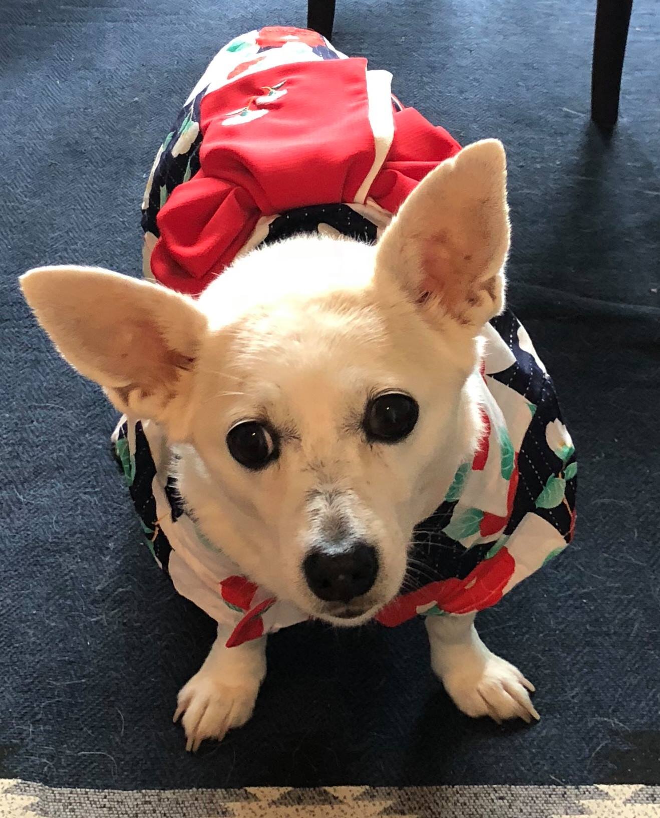 Stella Briskin - Mighty Hearts Project