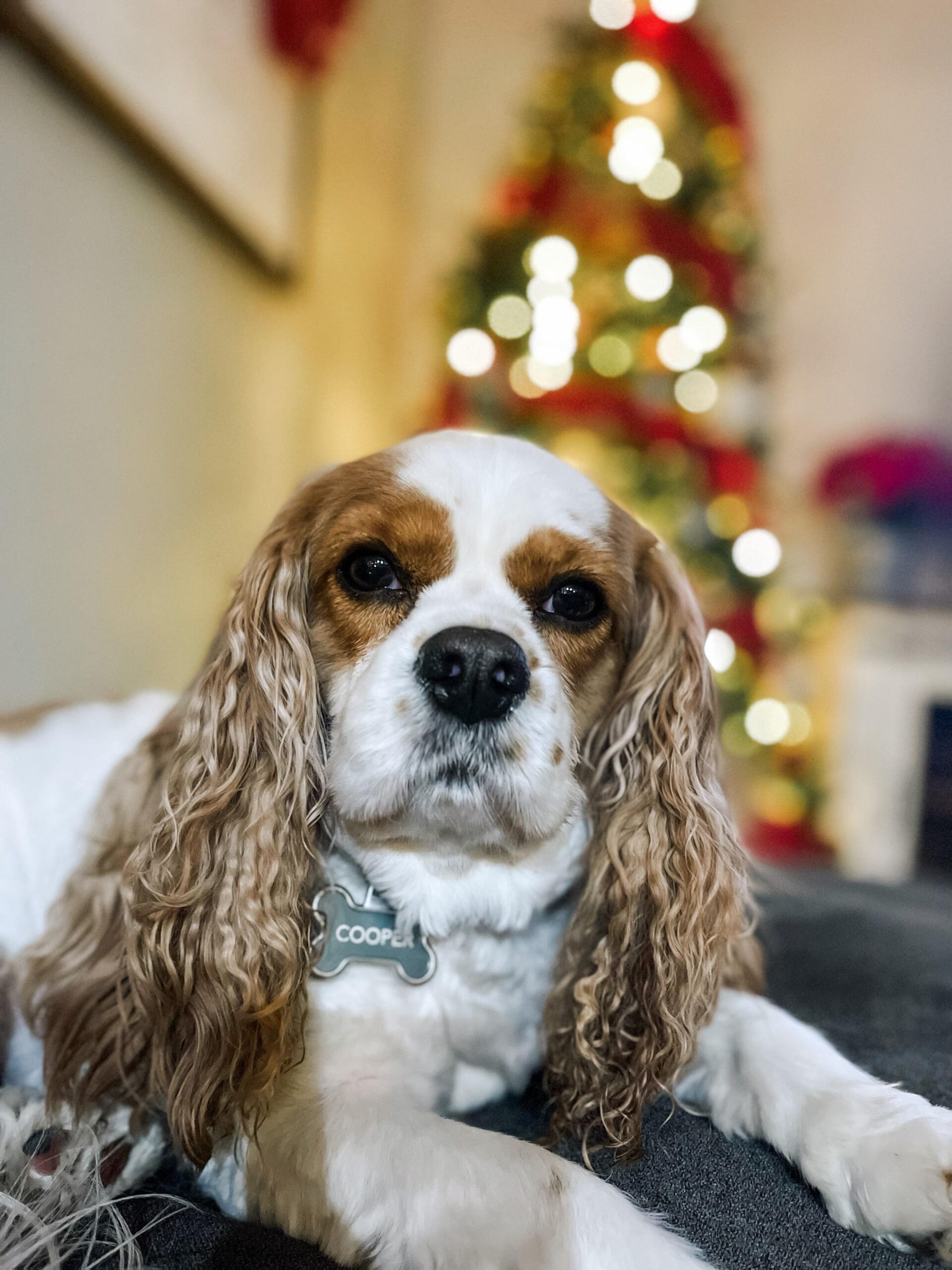 Cooper Preciado - Mighty Hearts Project